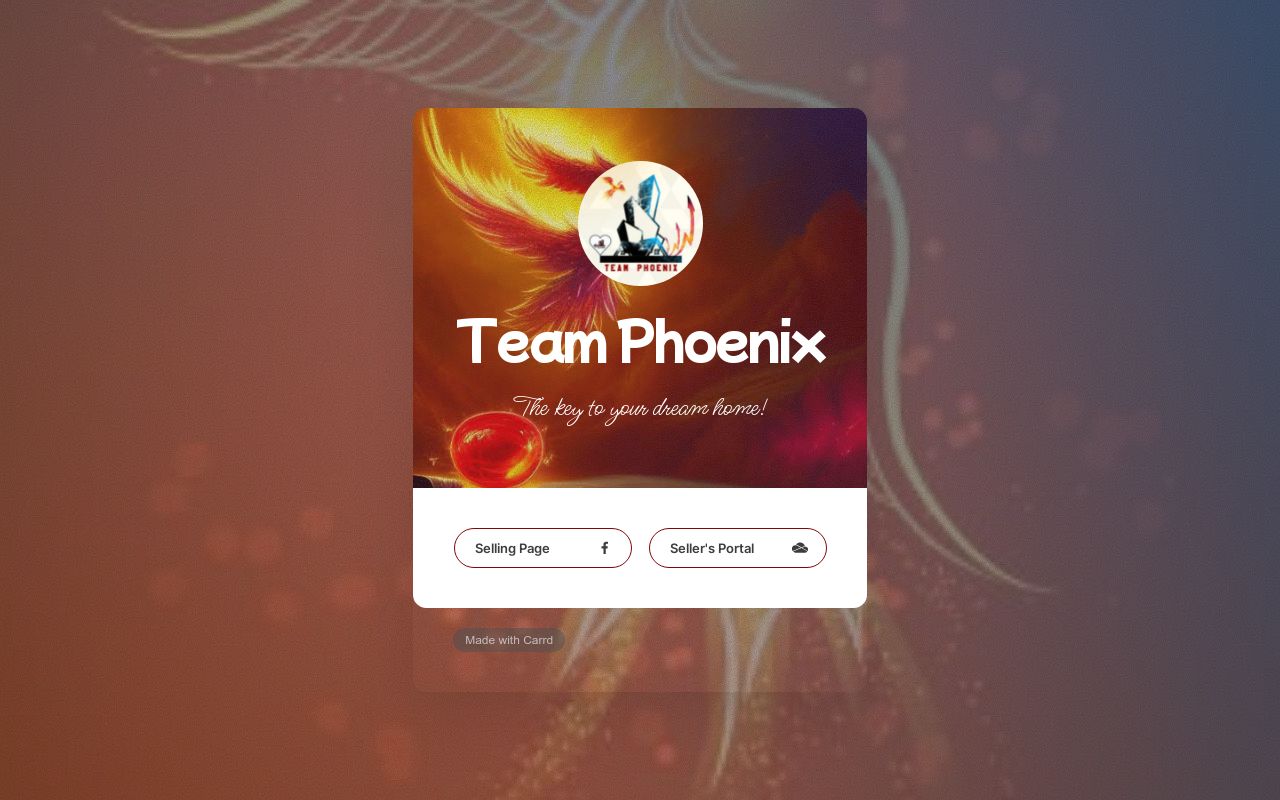 Team Phoenix